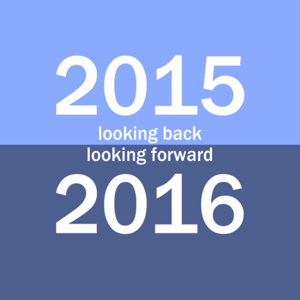 A Year In Review - 2015 / Kara Abbey Photography / Irwin, PA