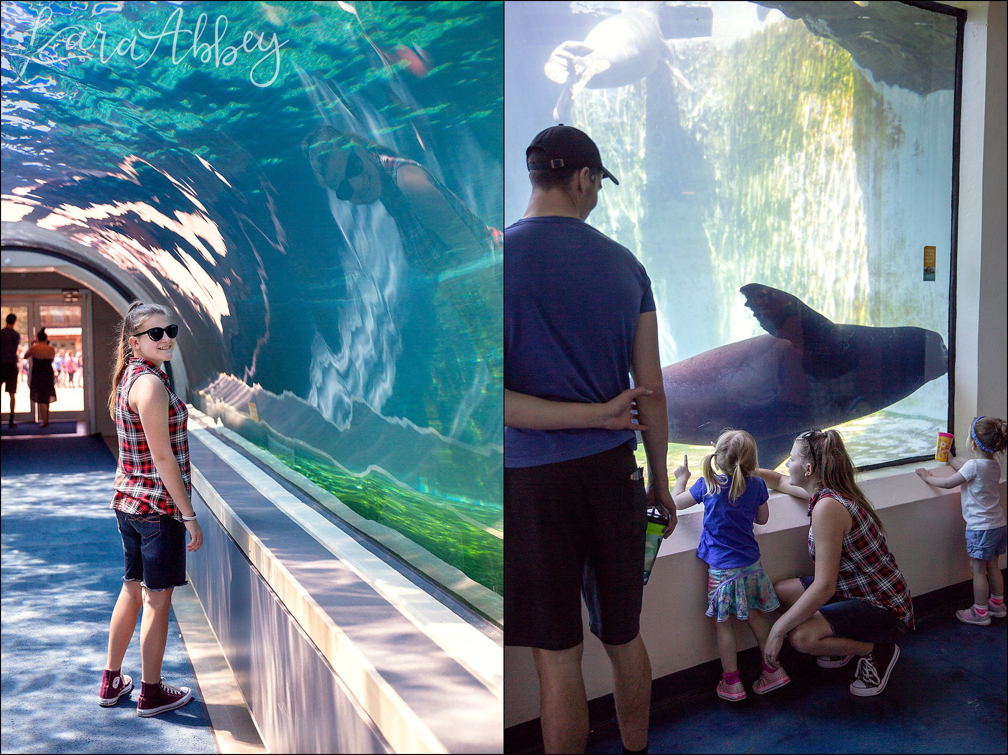 Pittsburgh Zoo & Aquarium Day in Pittsburgh, PA - Spring 2018