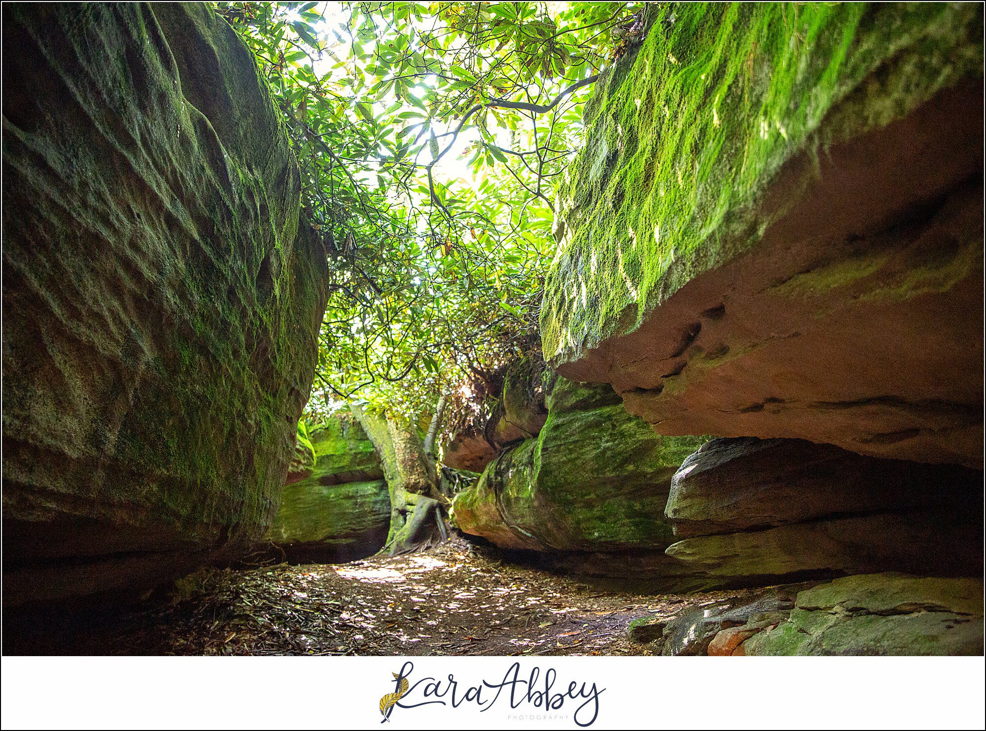 Rock Maze at Deep Creek Lake, MD in Garrett State Forest