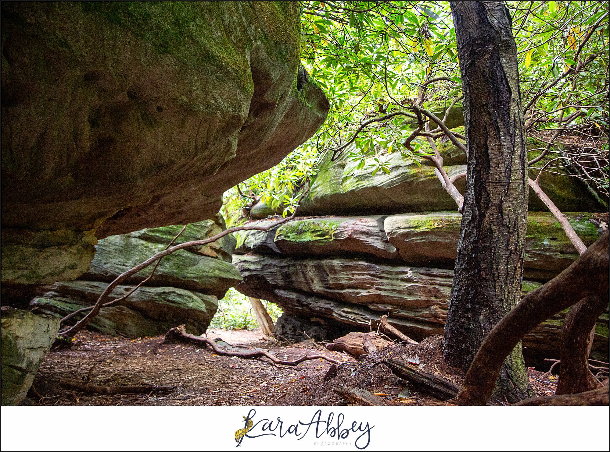 Rock Maze at Deep Creek Lake, MD in Garrett State Forest